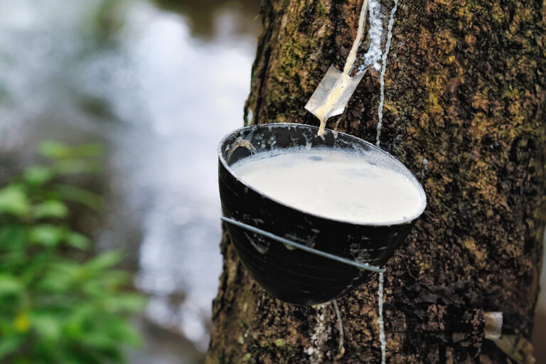 Elastomers with Bio-based Fillers - Armstrong Industrial Corporation